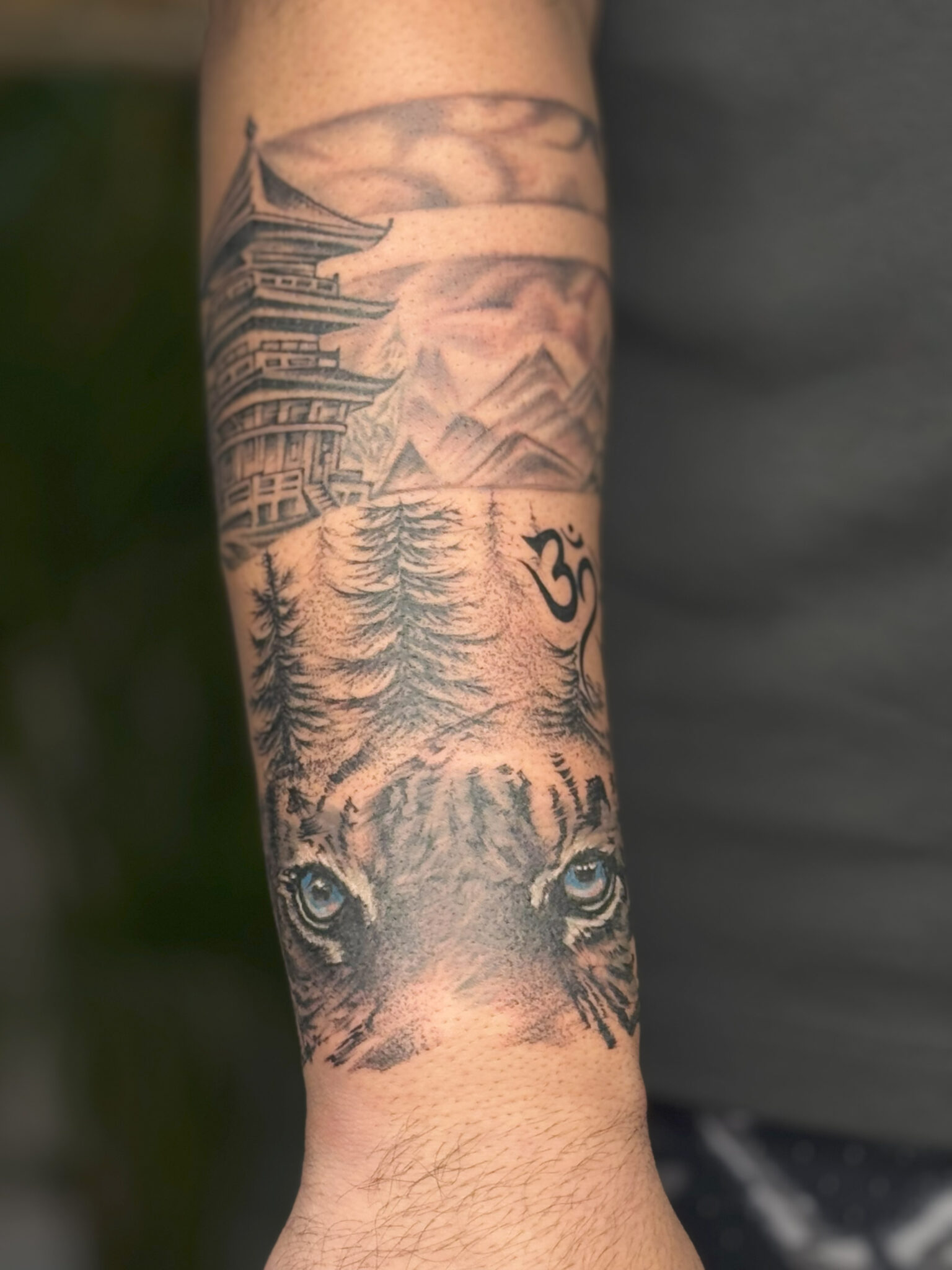 Gallery | Tattoo Ink Master